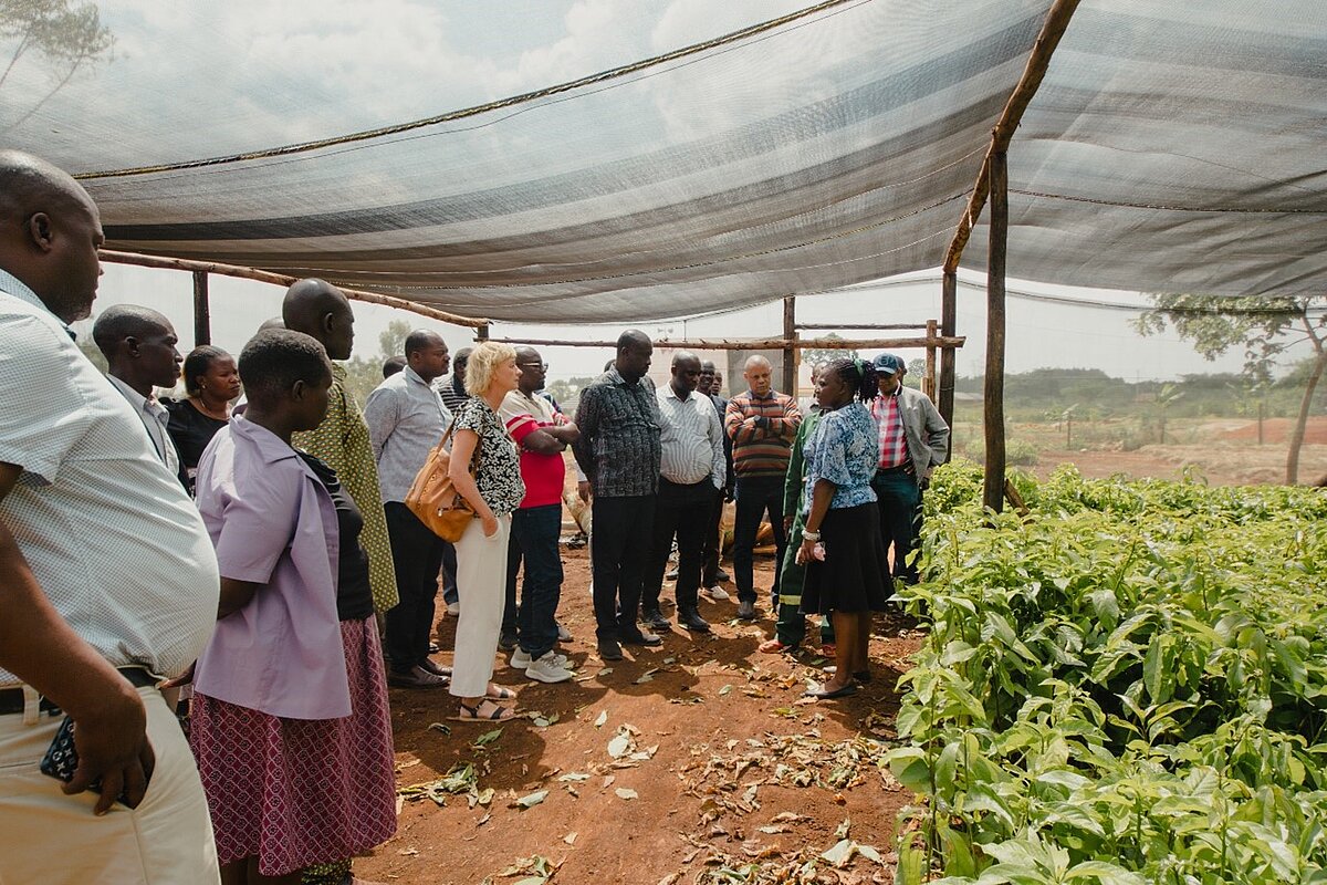 DVV International: 2024