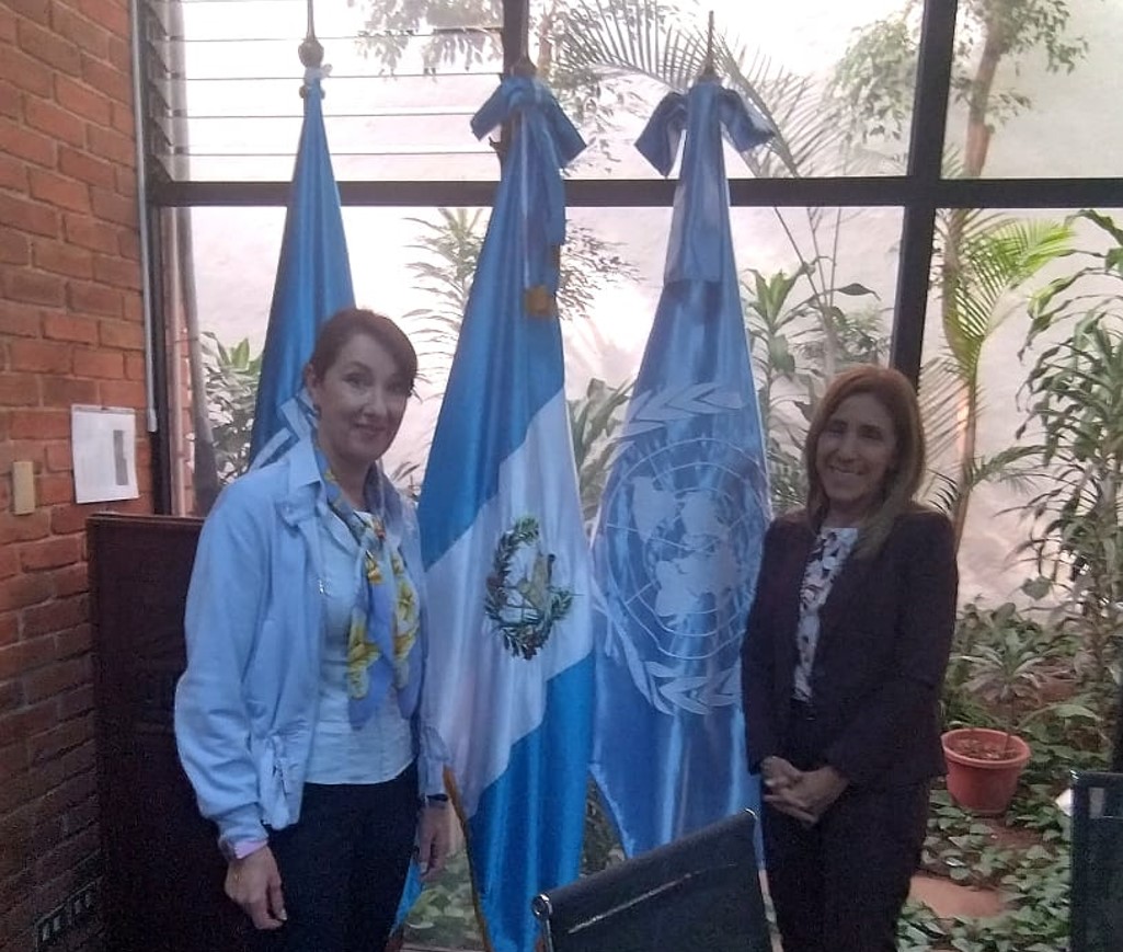 DVV International: 2024