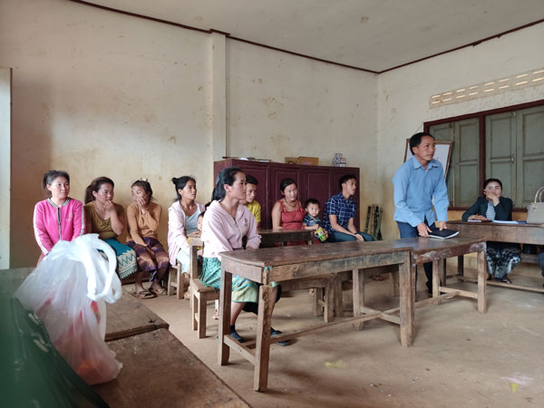 DVV International: 2023